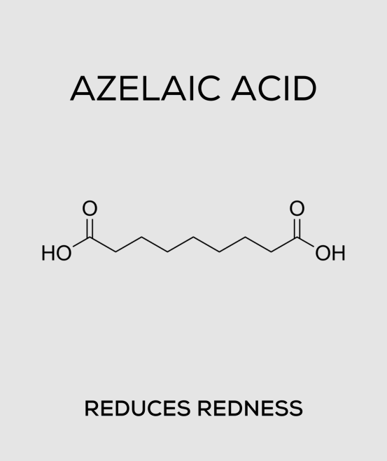 Power Ingredients for Skin Care selected by Top Dermatologists | Derma ...